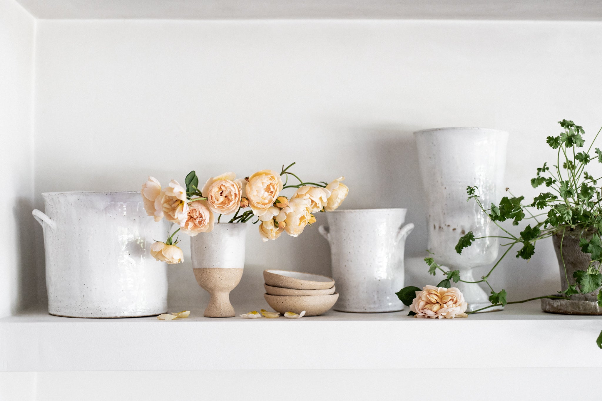 FORAY Design Store – ForayDesign