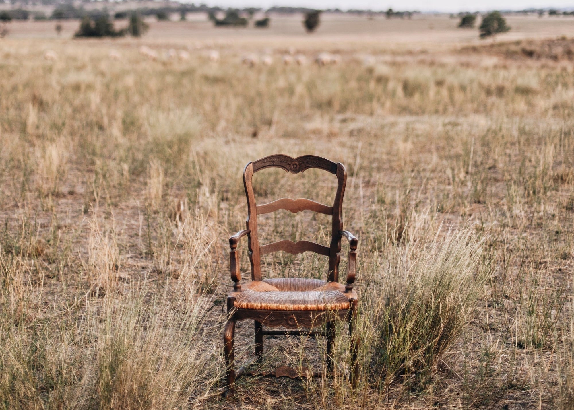 FORAY Design Store – ForayDesign